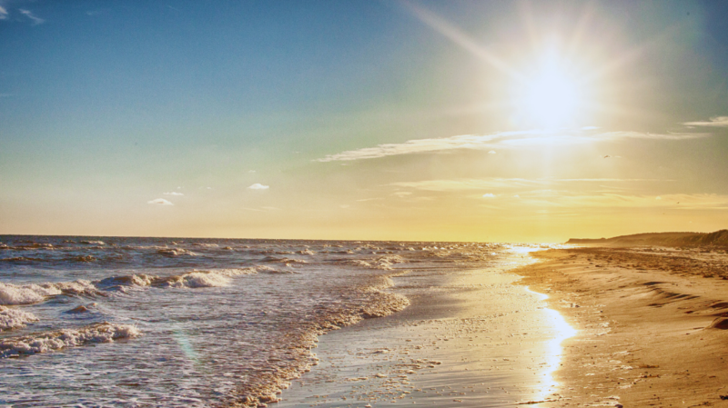 5 Things to do this December in Pawleys Island | Century 21 Thomas